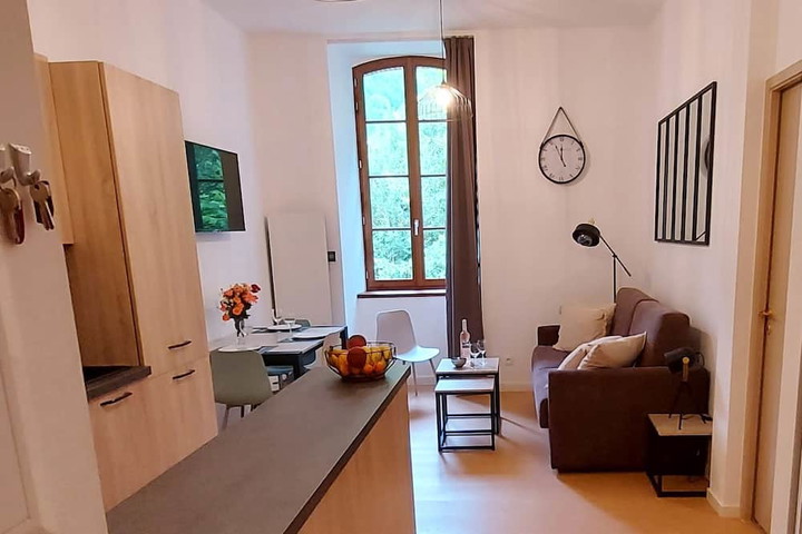 Magnifique T2 Meublé Classé 3 éToiles Face Aux Thermes D'aulus Et De La Rivière - Aulus-les-Bains