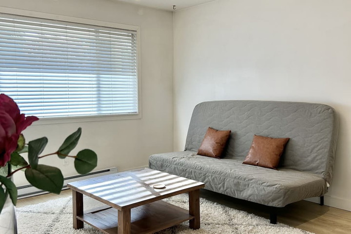 Spacious 1br+den | Private | Fireplace | Patio | Pet-friendly Upon Approval - Maple Ridge