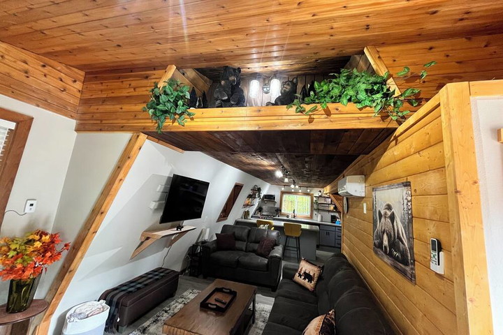 Cozy Mt. Rainier Cabin, Open All Year Hot Tub+sauna Sleeps 5 Pets Welcome - Ashford, WA