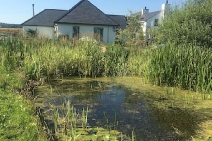 Duck House - Gwynedd