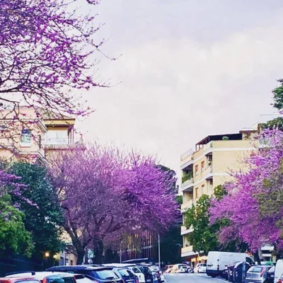 Roma Trastevere Relais Guest House - Rooma