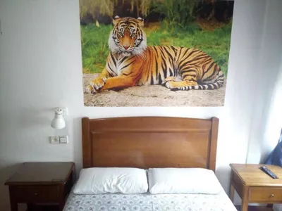 Hostal Myd Los Perales - Madrid