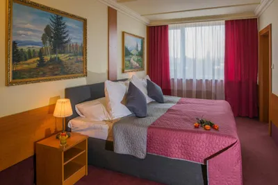 Top Hotel Praha & Conference Centre - Praga
