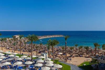 Beach Albatros Resort - All Inclusive - Hurghada
