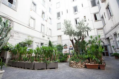 Bovio Boutique Sudio Apartment - Naples