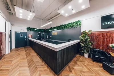 Maze Backpackers - Sydney - Surry Hills