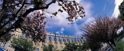 Arcotel Wimberger Vienna - Vienna