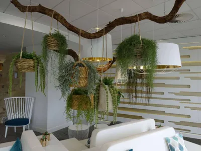 Hotel Mercure Libourne Saint-emilion - Aquitaine