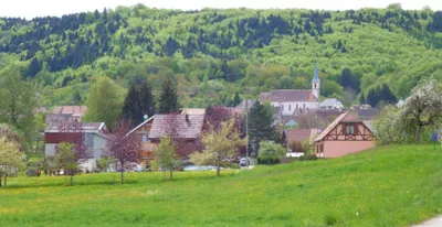 Hotel Restaurant Au Cerf - Riquewihr
