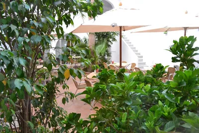 Internacional Hotel - Benidorm
