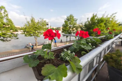 Island Hostel - Adults Only - Budapest