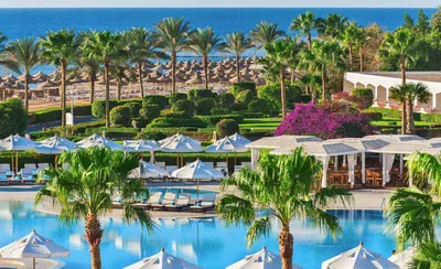 Baron Resort Sharm El Sheikh - Charm el-Cheikh