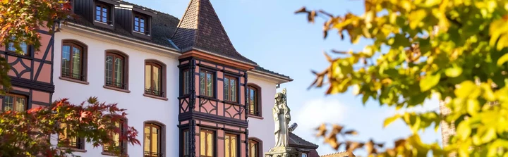 Hôtel La Diligence - Obernai - Obernai