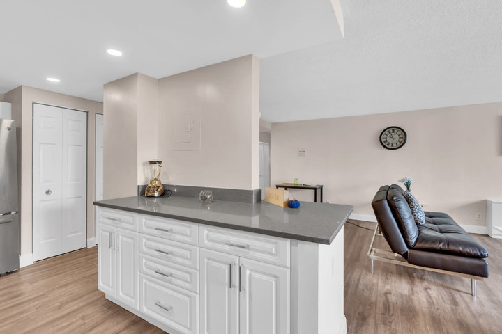 Furnished Apartment In Crystal City Near Pentagon - Arlington, VA