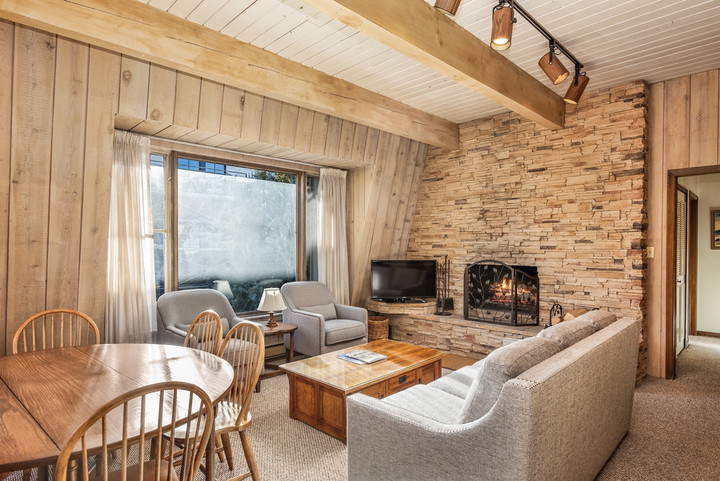 Balcony, Fireplace And Courtyard Views - Spacious Tranquil Retreat - Aspen