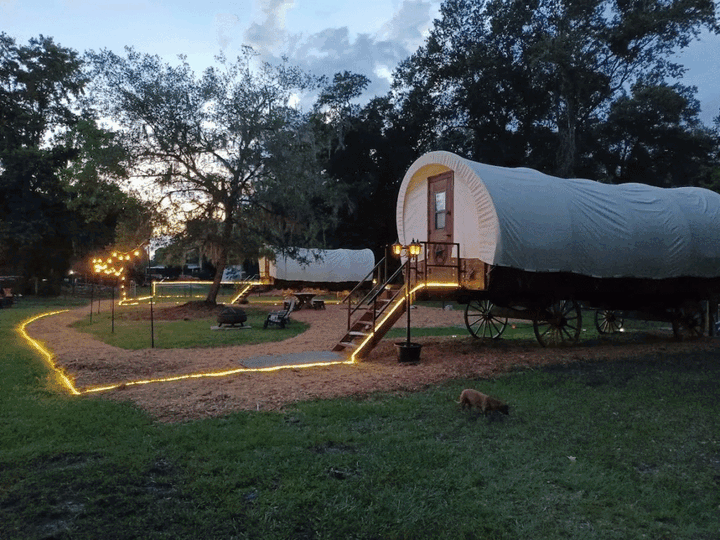 Highland Cow Glamping In A Cozy King Bed Wagon - Florida