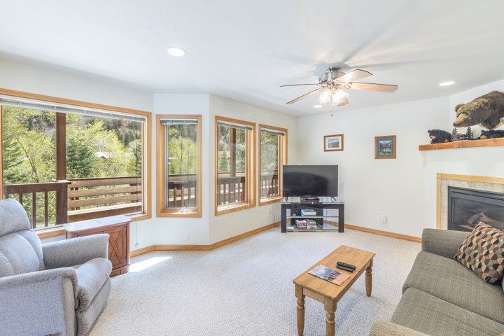 1494oak - Cliff Top Condo - Ouray, CO