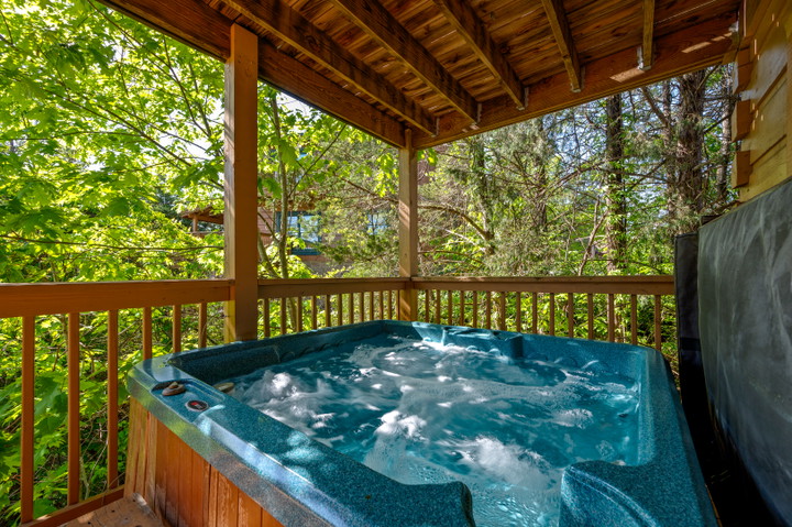 Hibernation - Pigeon Forge, TN
