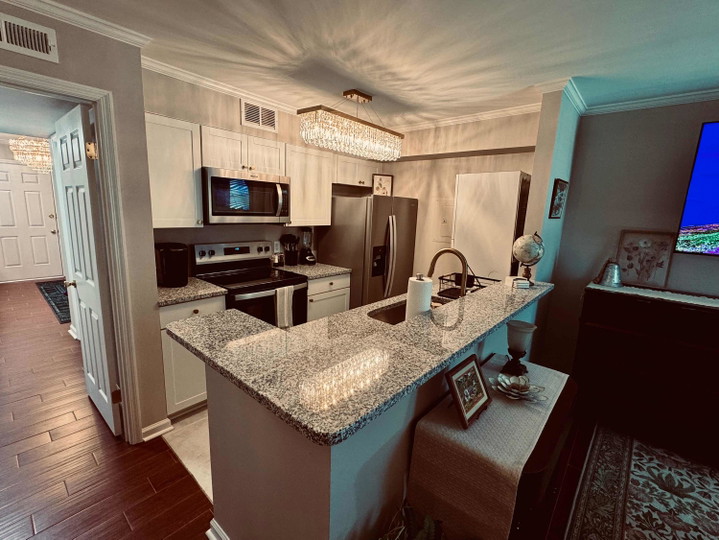 Gorgeous Condo Across From Vet School - Auburn, AL