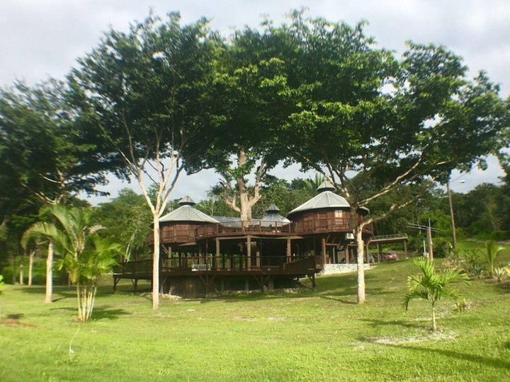 Exotic Off-the-grid Treehouse Mopan River! - Belize