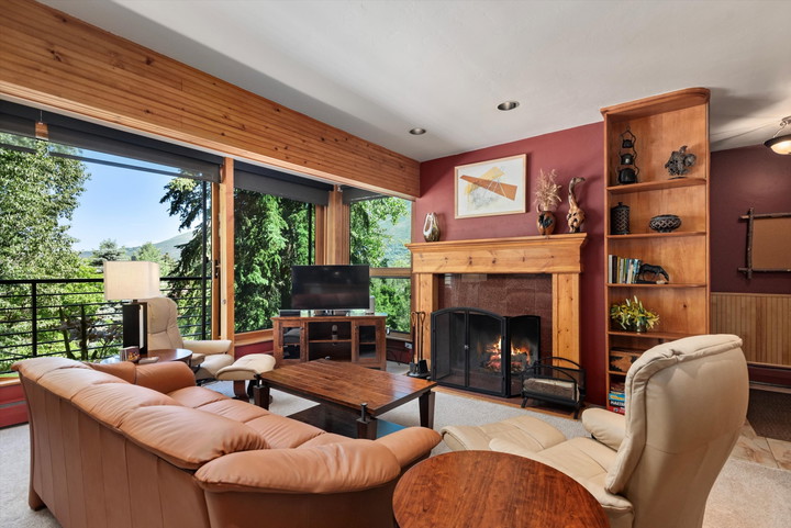 Floor-to-ceiling Windows And Cozy Fireplace - Stunning Mountain View - Aspen