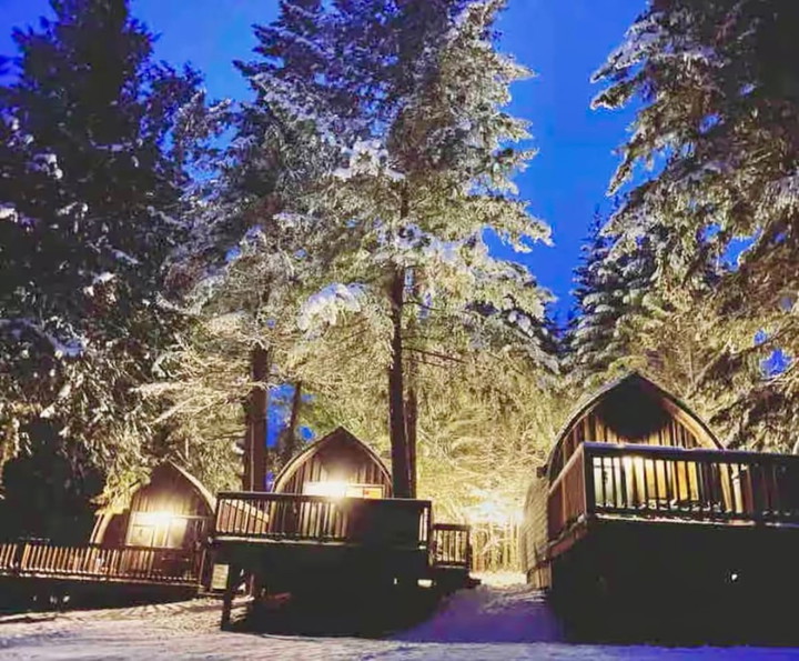 Cozy Cabin #1 W/ Hot Tub (Sicamous) - Canada