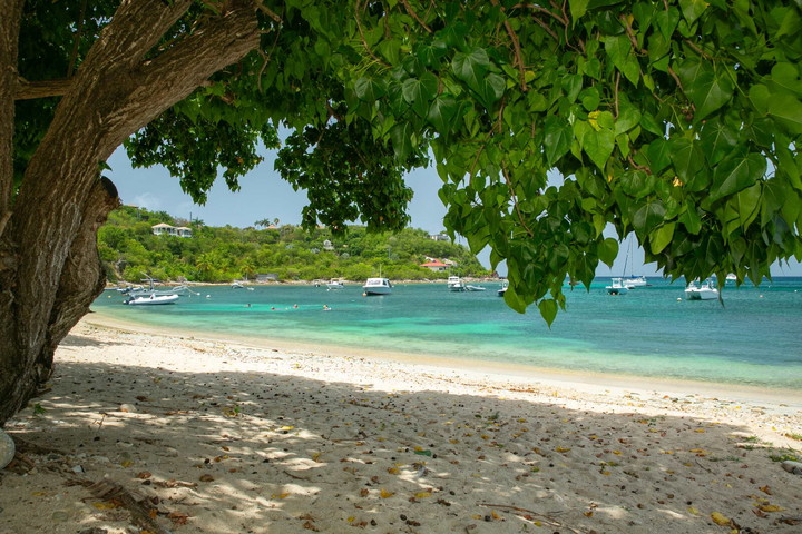 Nautilus | Beach Front, 3 King Suites | By Bookvi - U.S. Virgin Islands