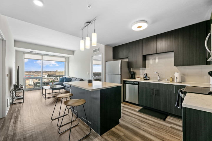 Designer Finishes & City Views - Minneapolis