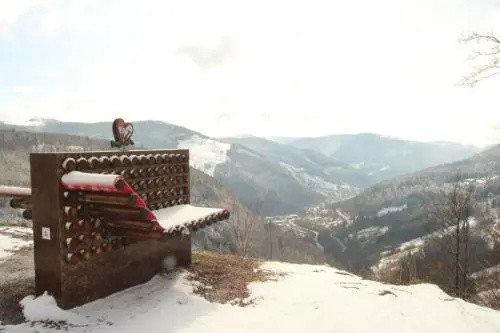 Bergvital Hotel Todtnau - Todtnau