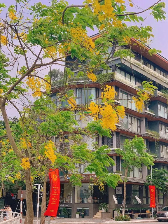 22land Moon West Lake - Hanoï
