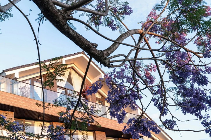 Zenora Hillside Garden - Dalat
