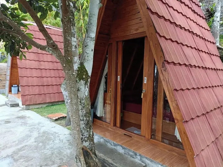The Panorama Batur Camp - Kintamani