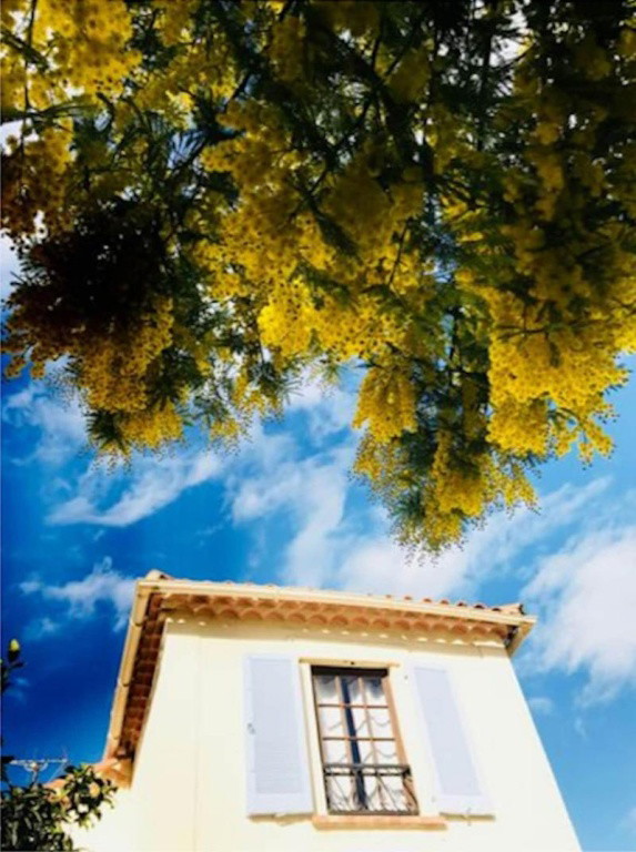 Hôtel La Jabotte - Juan les Pins