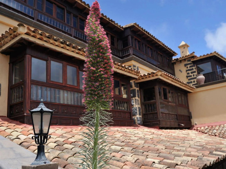 Karat El Nogal Hotel Boutique & Spa - Canary Islands