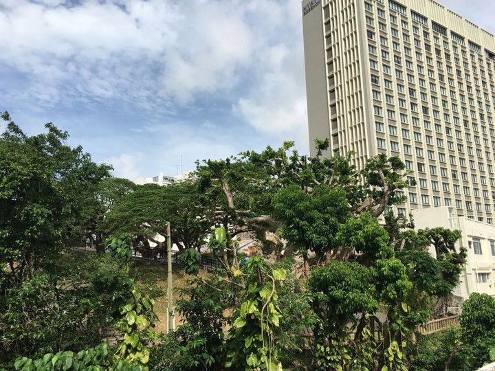 Women's Guest House Fukutomi - Naha