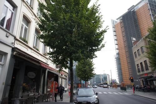 Apartments Berlaymont Ohy - Schaerbeek