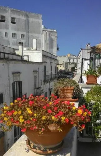 Ciao Bello Bb - Martina Franca
