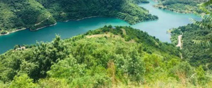 Yuvacik Kazli Bahçe Bungalov - Gölcük