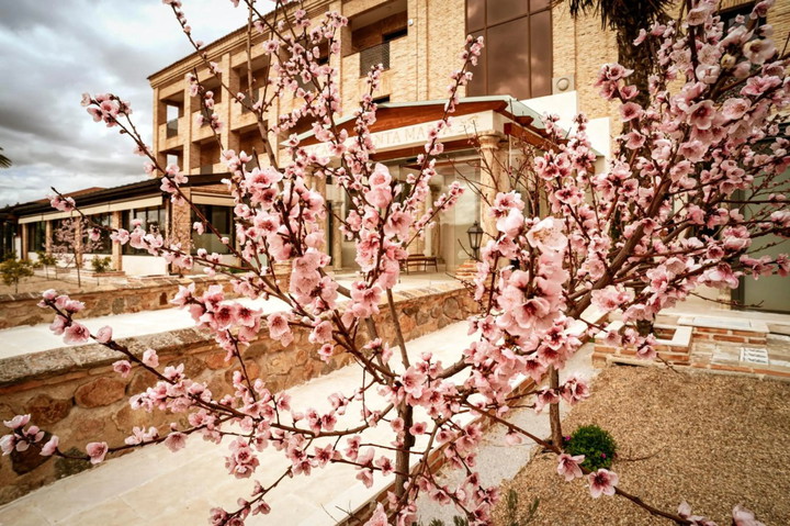 Hotel Cigarral Santa Maria - Tolède