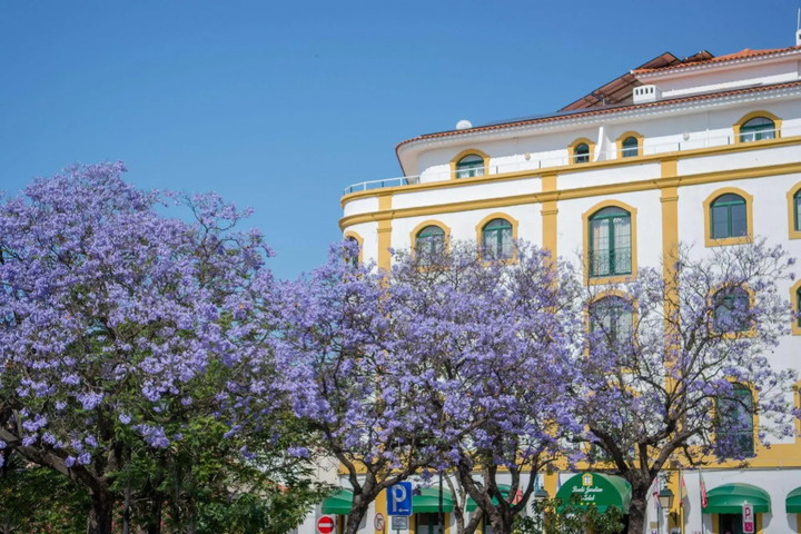 Loule Jardim Hotel - Loulé