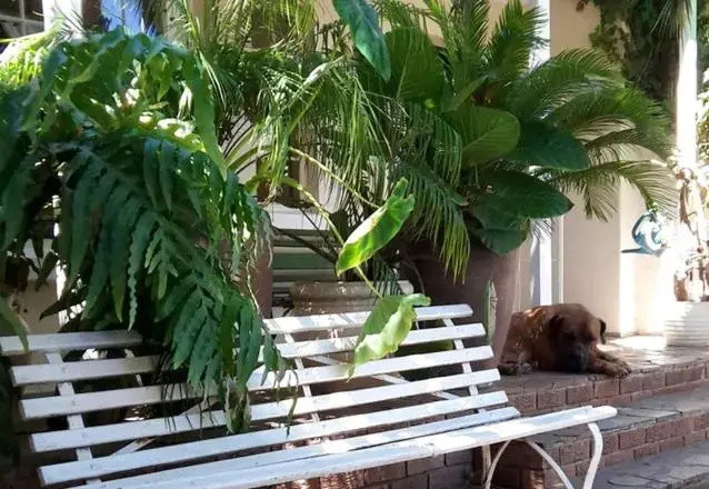 Mavilla Stellenbosch B&b - Stellenbosch