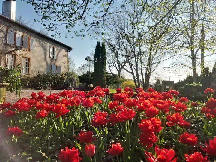 Chambres D'hôtes Le Prieuré - Épinal