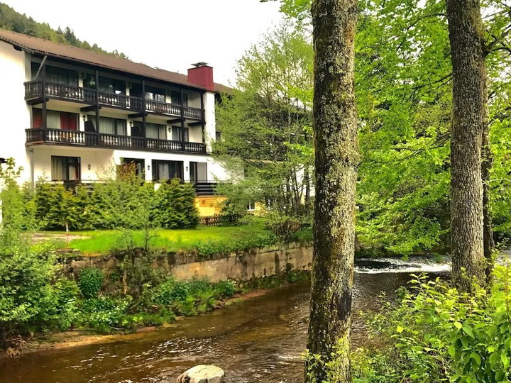 Schwanen Resort - Forêt-Noire