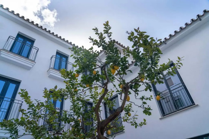 Opuntia Boutique Hotel - Mijas