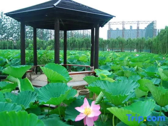 Norinco Skylight Resort - Pékin