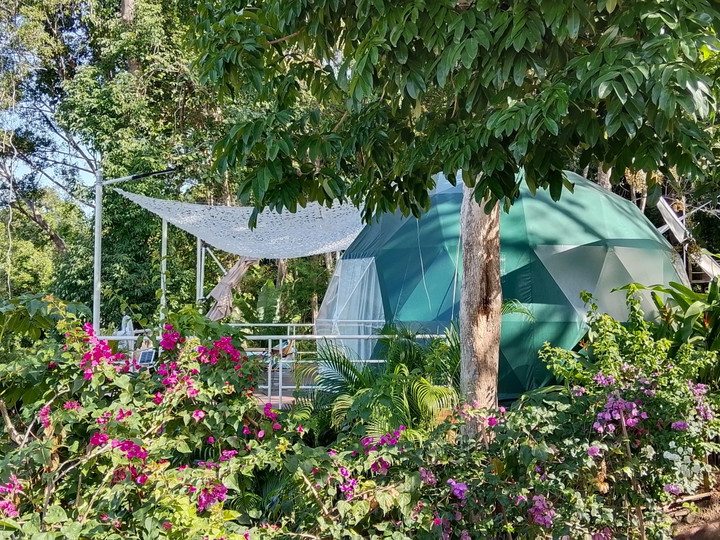 Natur Krabi Campsite Glamping - Krabi tartomány