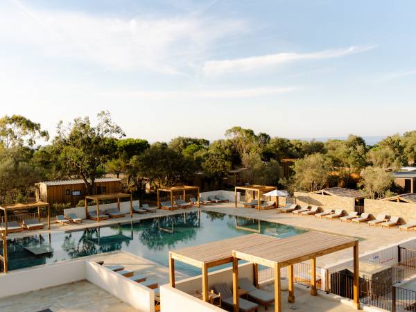 Terre D'oliviers - Haute-Corse