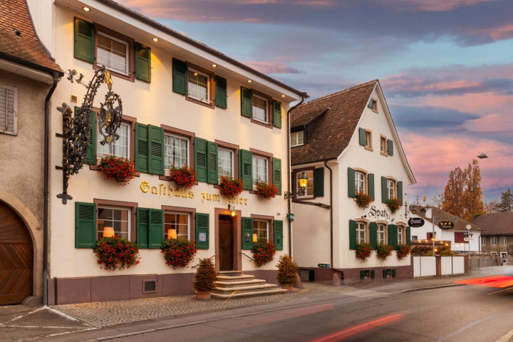 Hotel Adler - Weil Am Rhein - Bartenheim