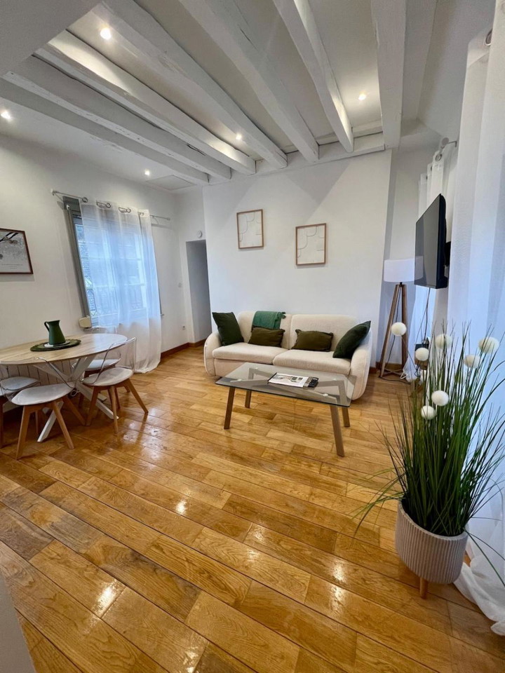 Appartement T2 Lumineux Centre Ville D'amboise Avec Vue Sur Le Château Royal - Amboise