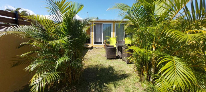 Plumeria 1 - Saint-Pierre